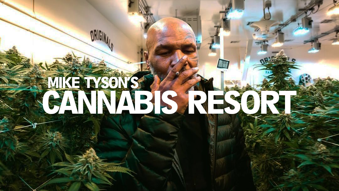 Mike Tyson to Open "Cannabis Resort" in California – Davinci Vaporizer US