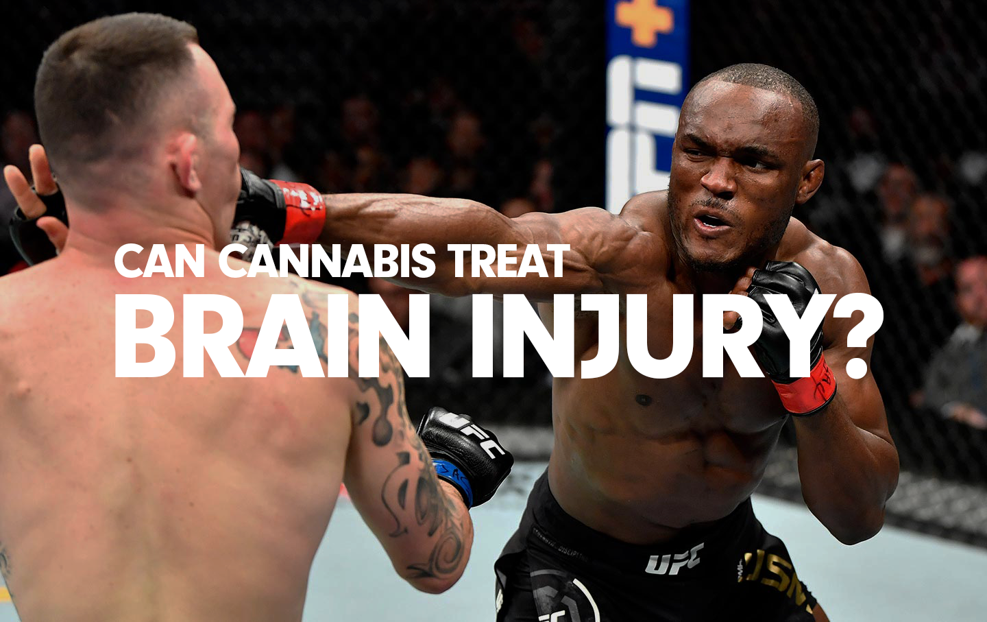 MMA Fighters Participate In Clinical Trial of Cannabis To Treat Brain